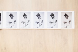 Blurb Test Book - Paper Comparison | Film Photography Blog